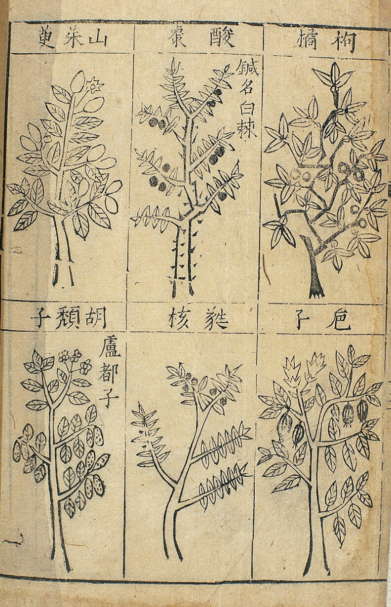 La medicina china del Bencao Gangmu y Li Shizhen en el Siglo XVI ...