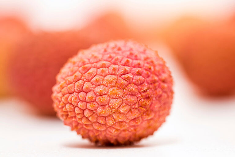 La leyenda de la fruta lichi y la concubina imperial - Revista ...