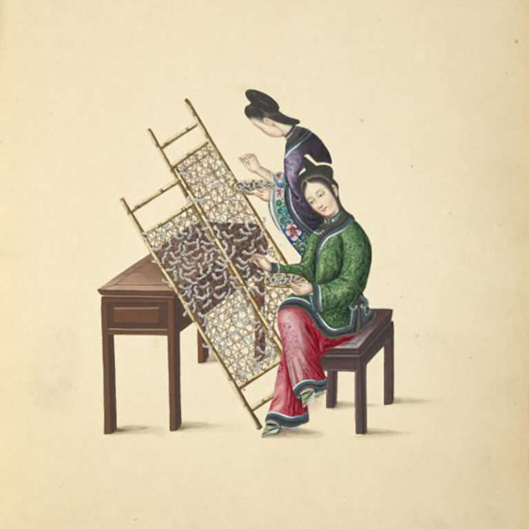 La fabricación de seda en la antigua China - Revista Instituto Confucio ...
